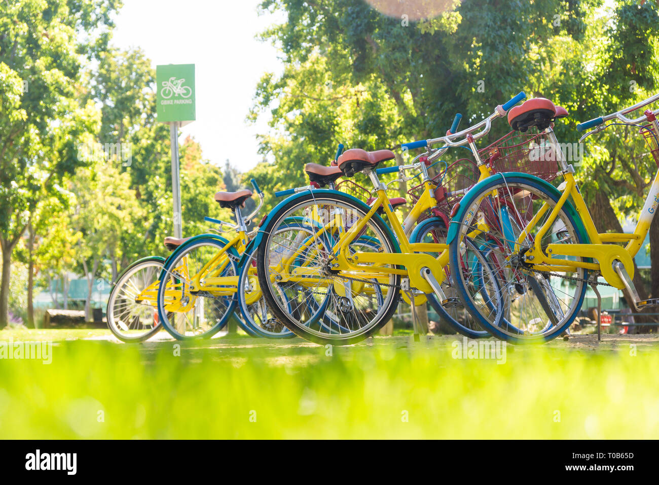 Google Campus Bikes