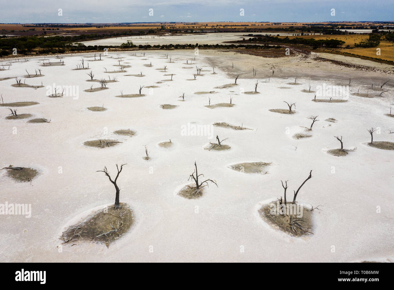 Salt lakes of Walk Walkin Nature Reserve, Western Australia Stock Photo ...
