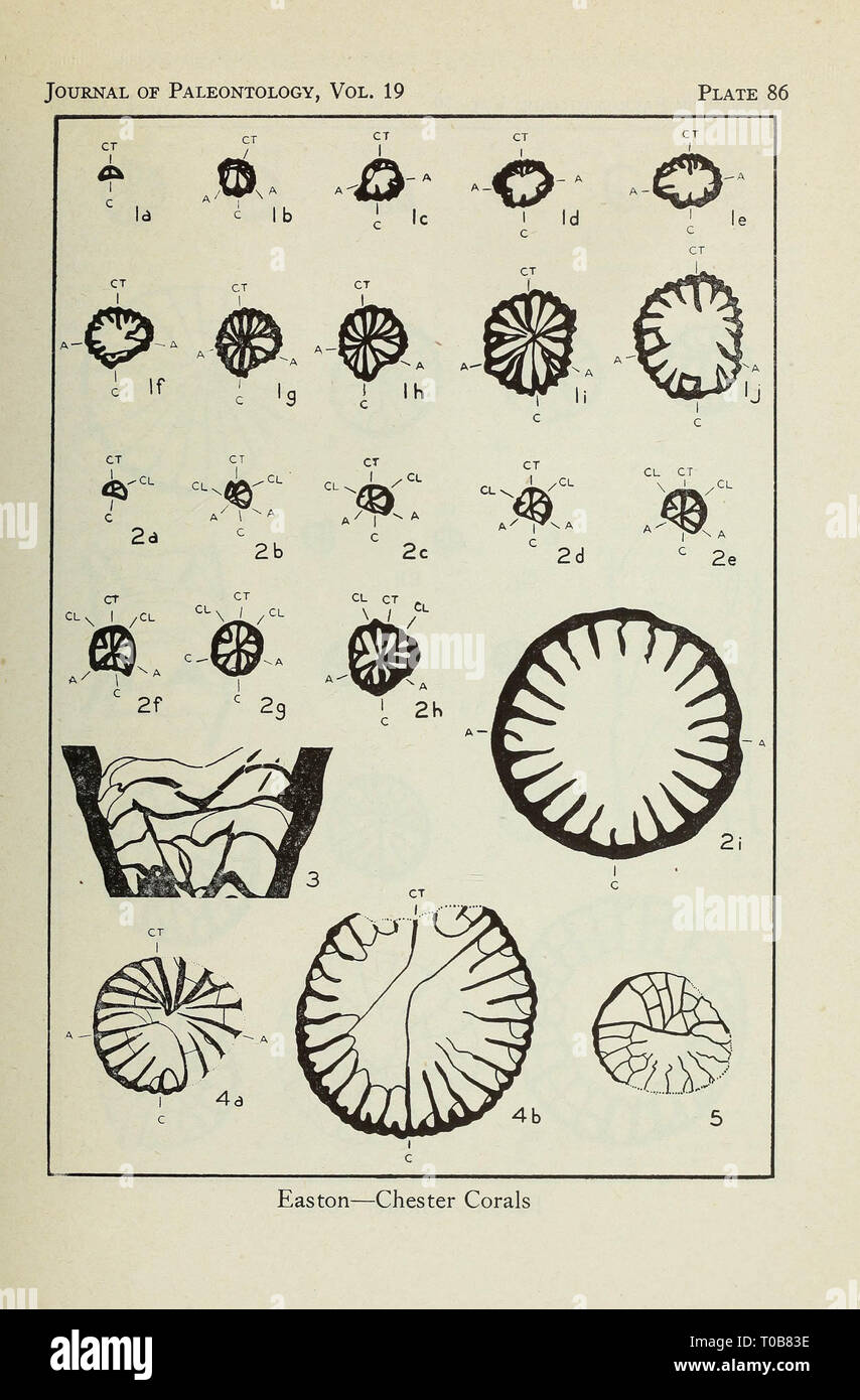 Kinkaid historical hi-res stock photography and images - Alamy