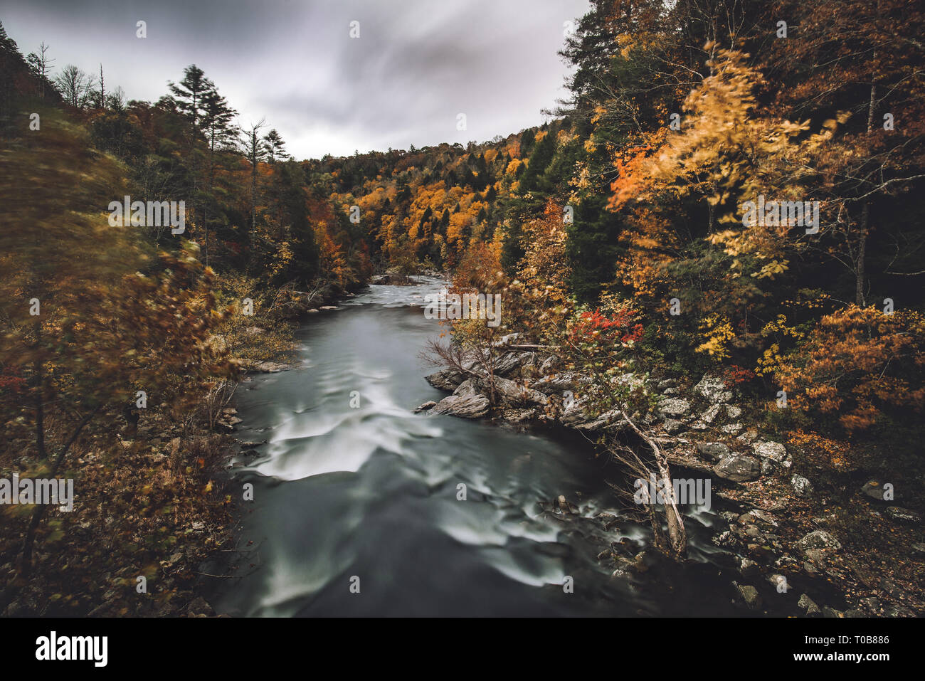 Obed hi-res stock photography and images - Alamy