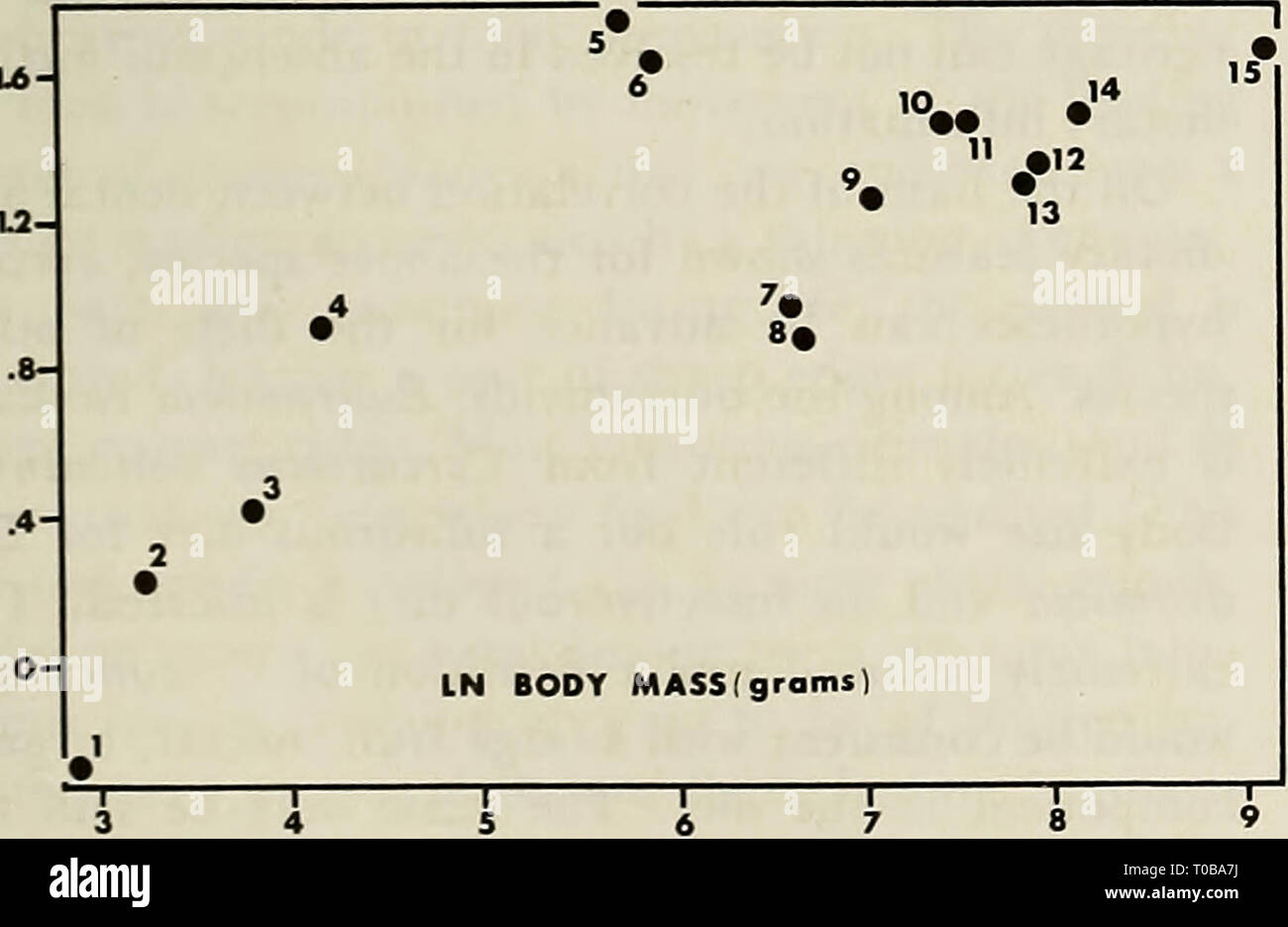 The Ecology of arboreal folivores Stock Photo - Alamy