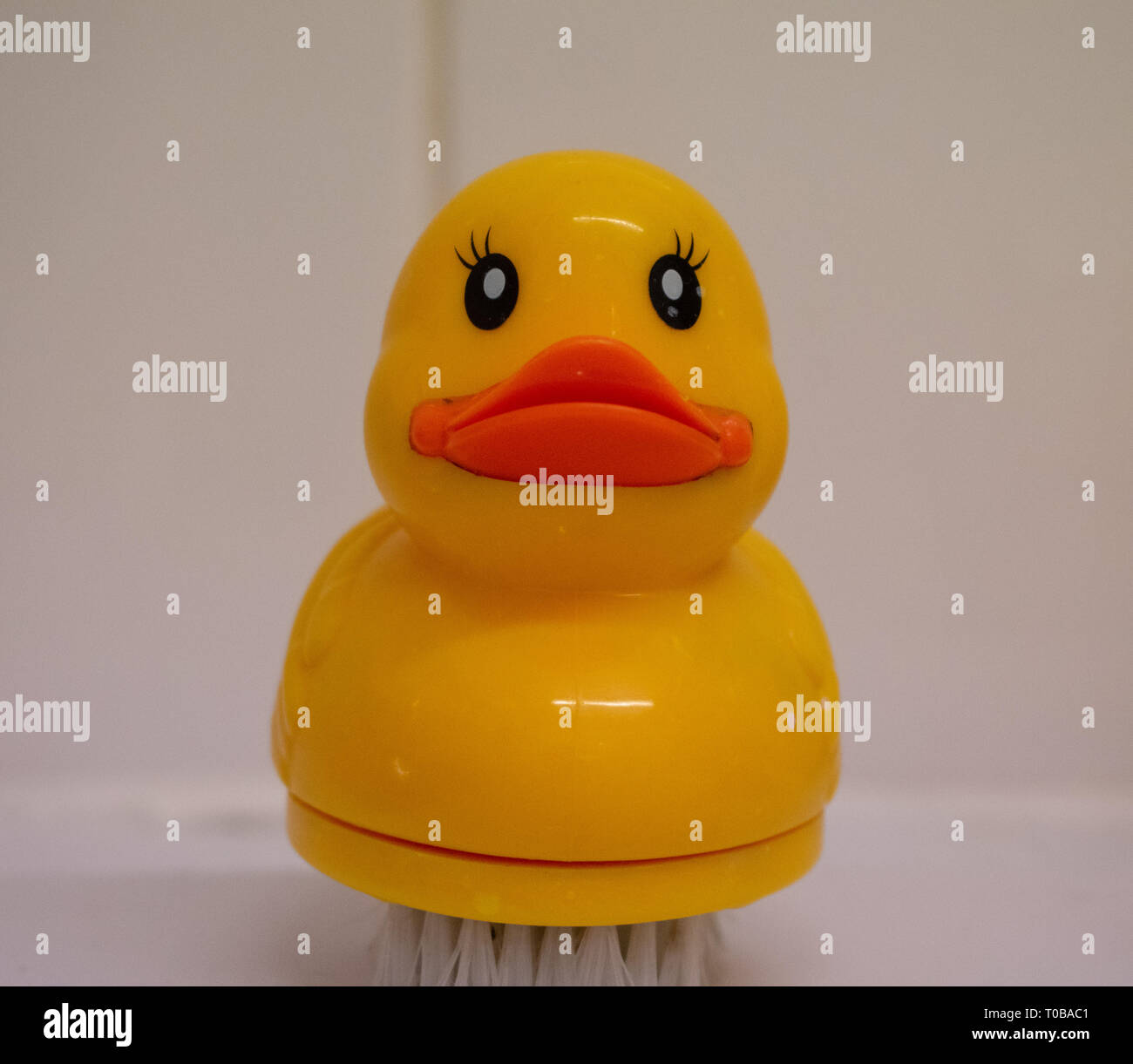 Rubber duck nail brush on bathroom sink Stock Photo - Alamy