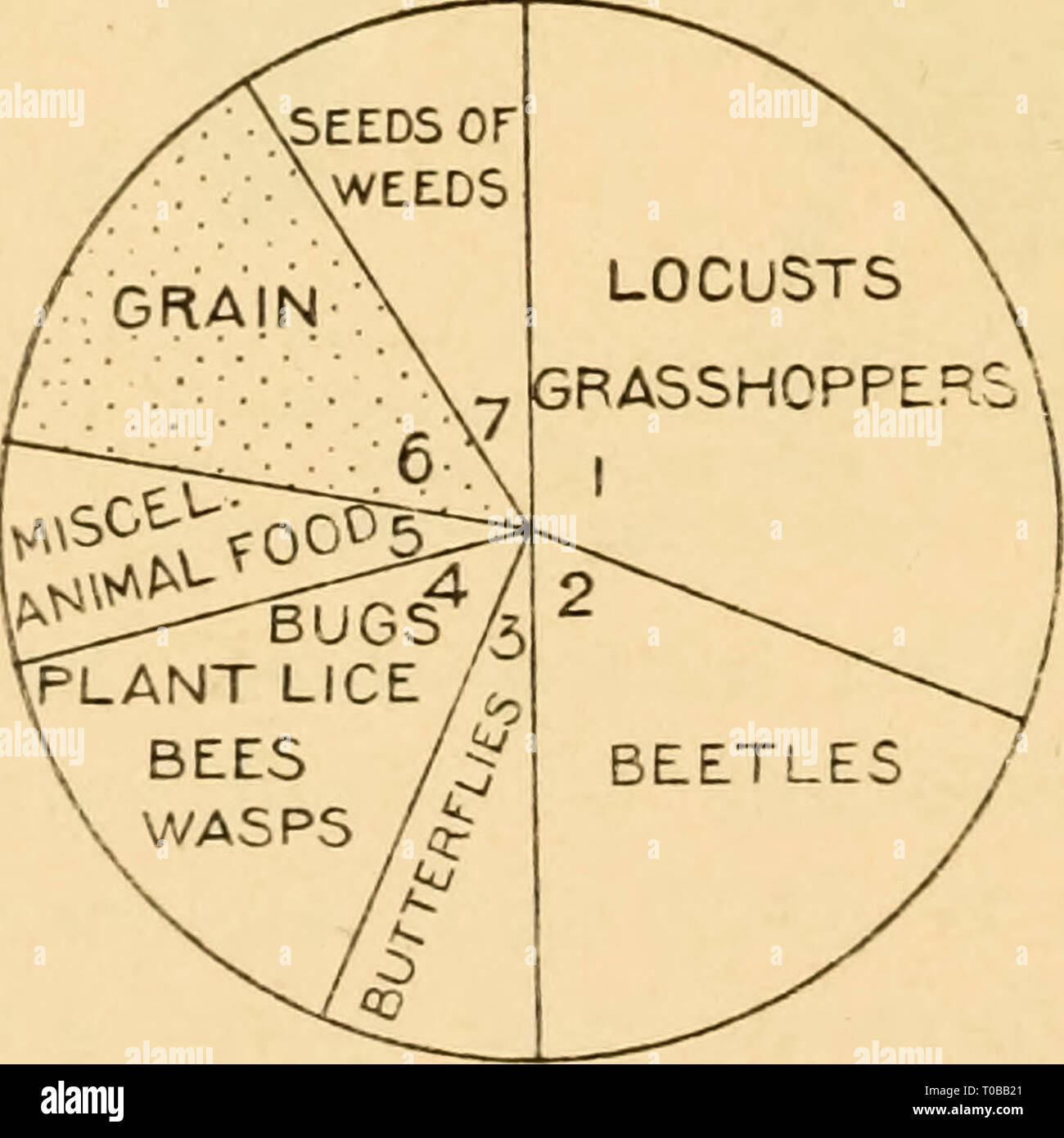 Elementary principles of agriculture; a Stock Photo - Alamy
