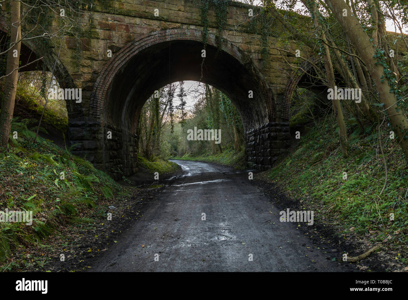Pathway path structure hi-res stock photography and images - Alamy