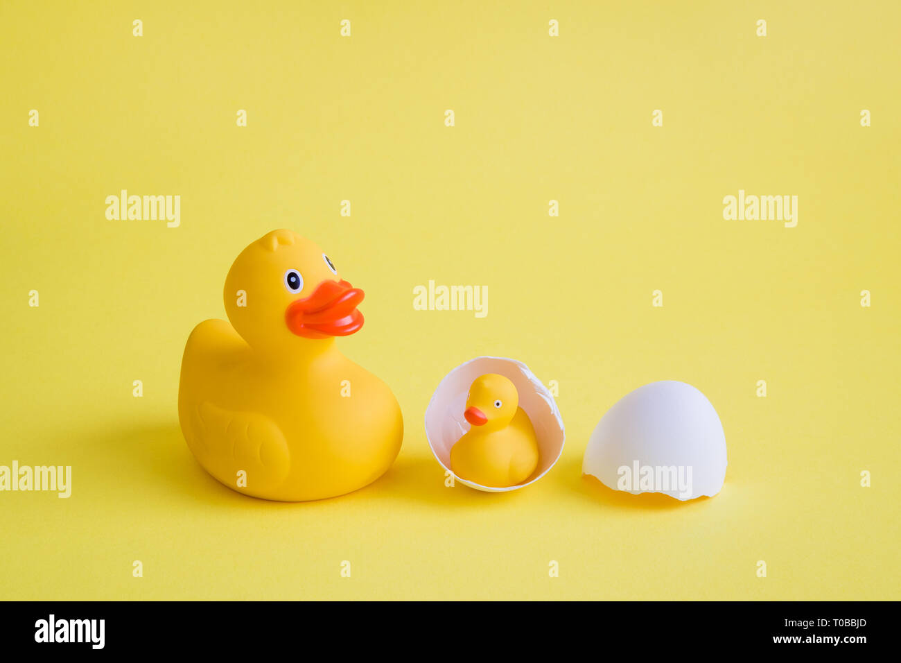 Broken duck shell hi-res stock photography and images - Alamy
