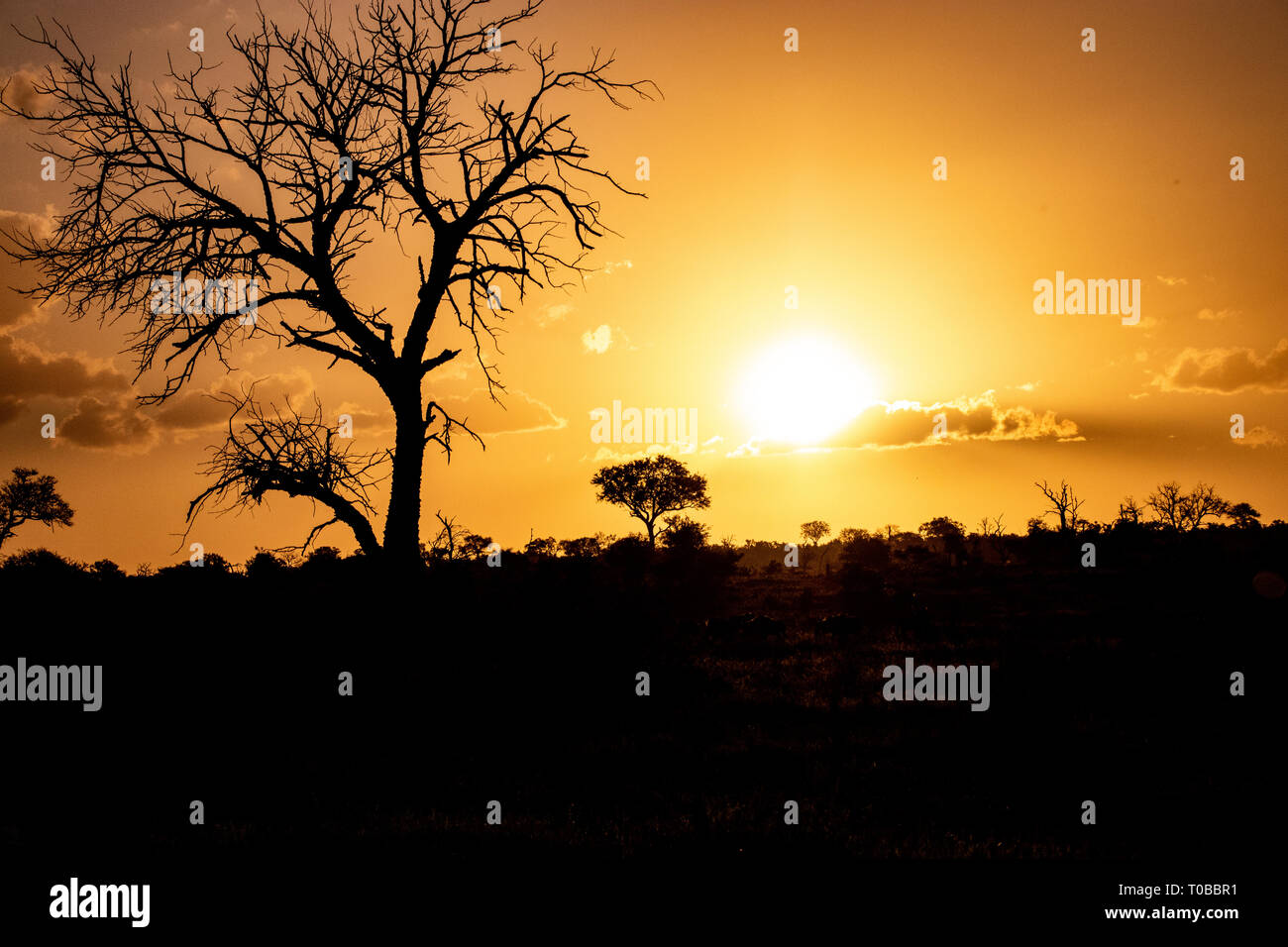 African sunset hi-res stock photography and images - Alamy
