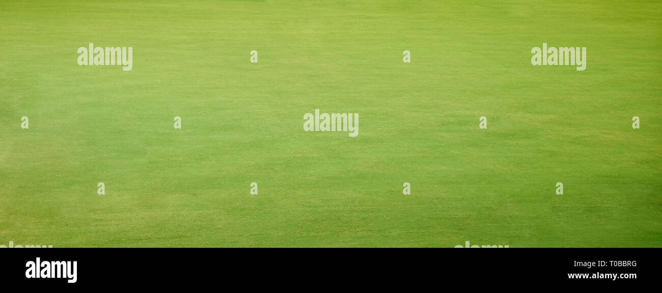 Green grass field background. Clean sport fresh meadow Stock Photo - Alamy