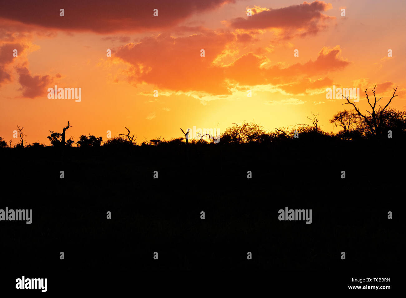 Colorful africa hi-res stock photography and images - Alamy