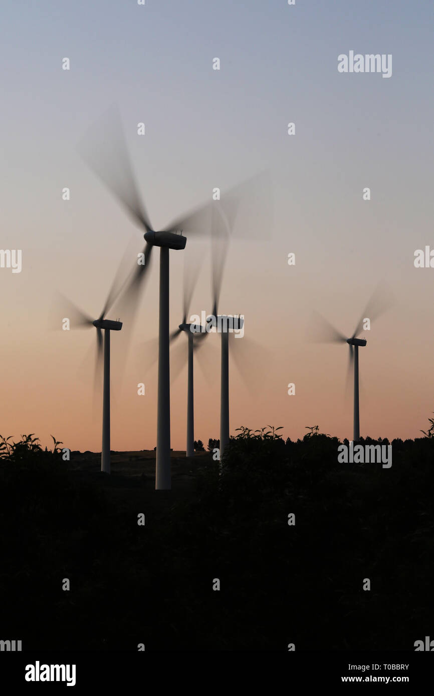 Wind turbines spinning at sunset Stock Photo - Alamy