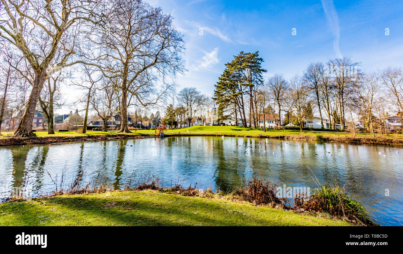 Beautiful view of a lake in the middle of a park surrounded by trees ...