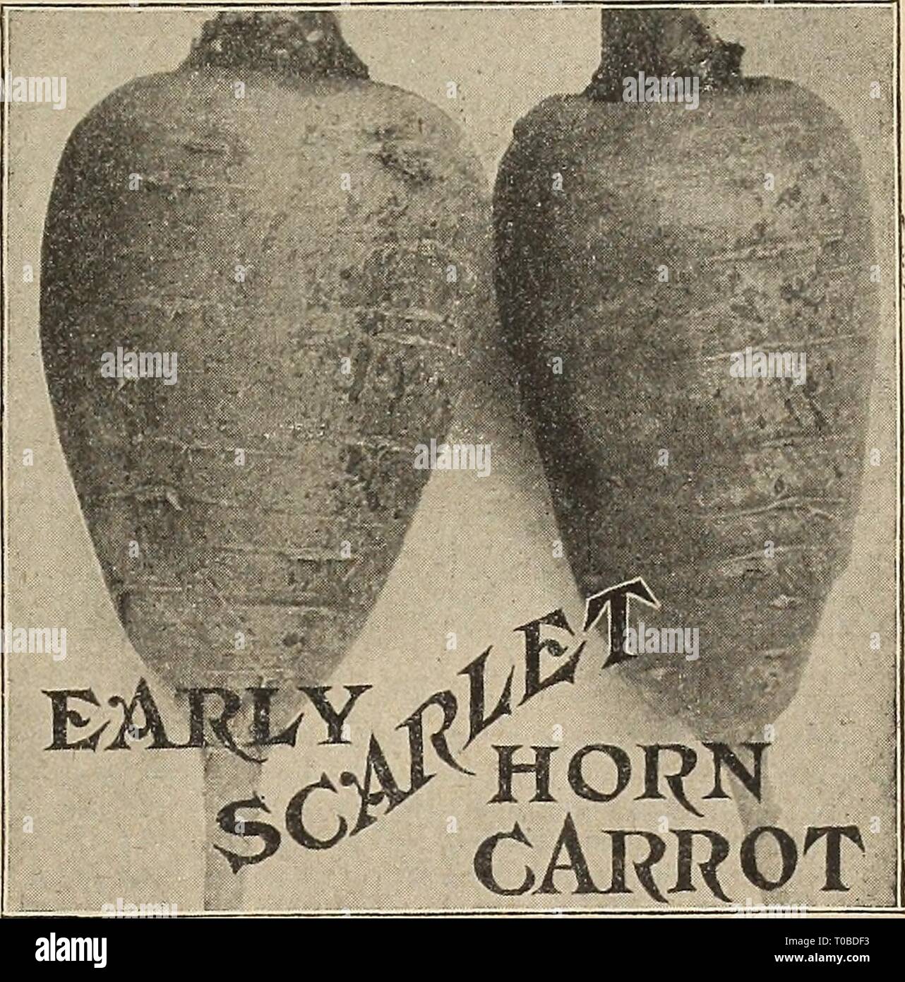 Garotte hi-res stock photography and images - Alamy