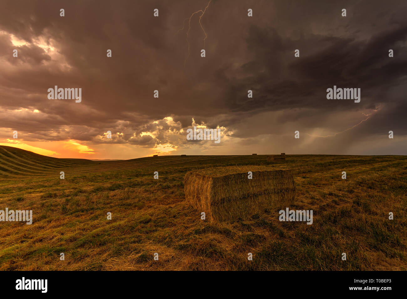 Dark field lighting hi-res stock photography and images - Alamy