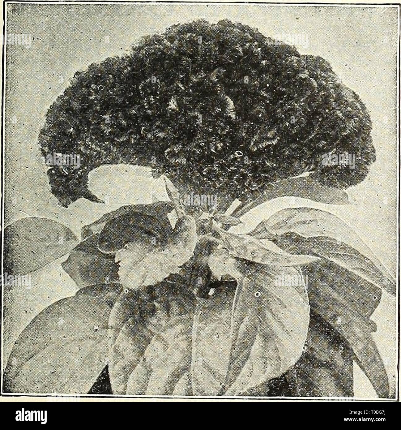 Colossal proportions hi-res stock photography and images - Alamy