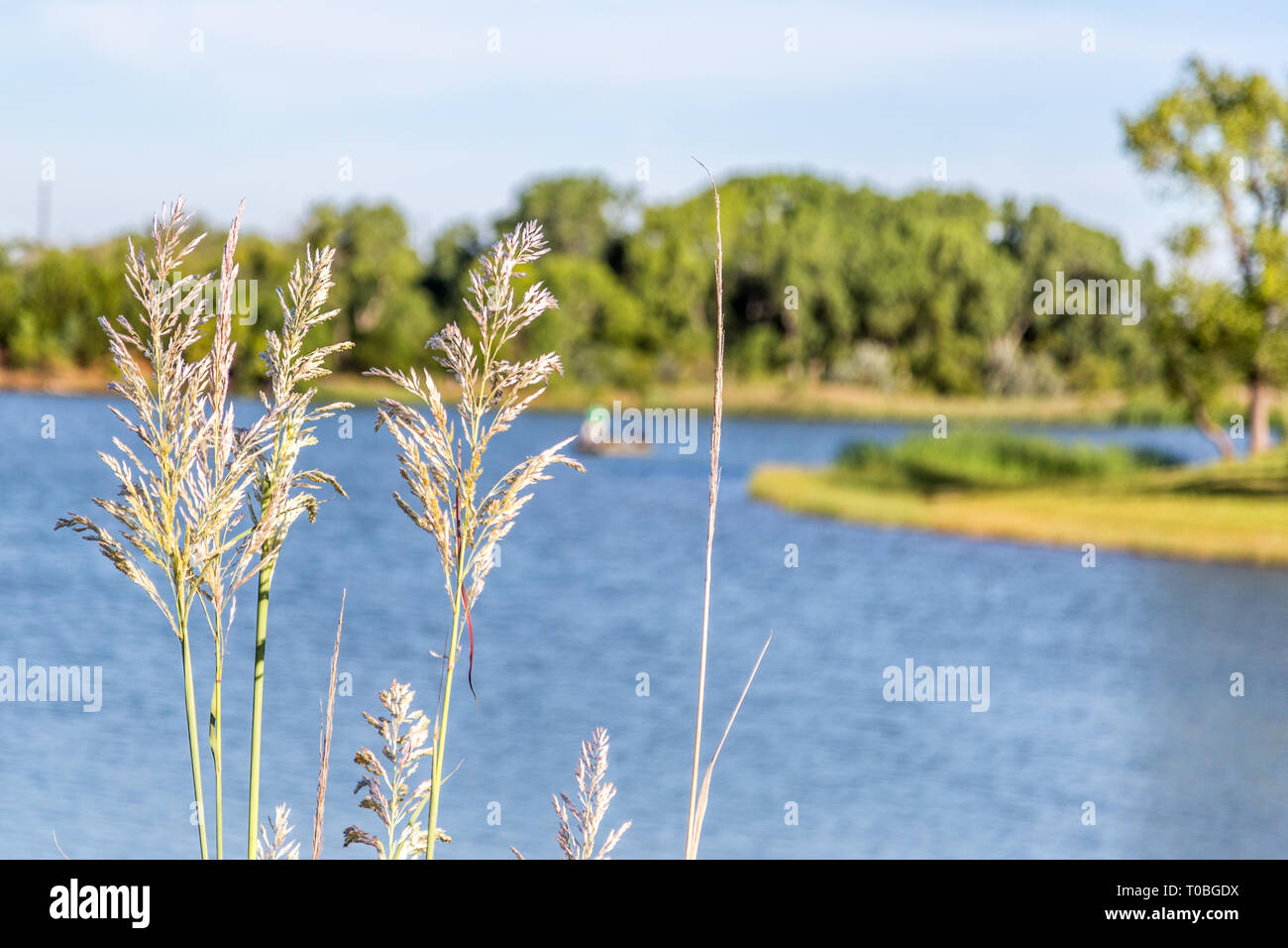 Barber County fishing lake Stock Photo - Alamy