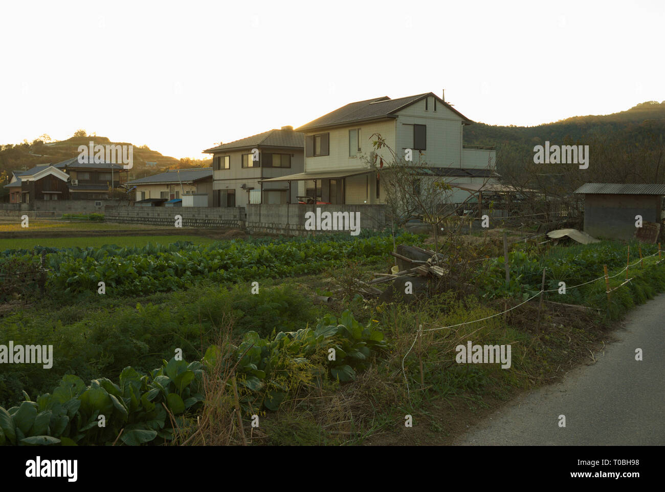 Farms and fields in Okayama Prefecture, Honshu, Japan Stock Photo - Alamy