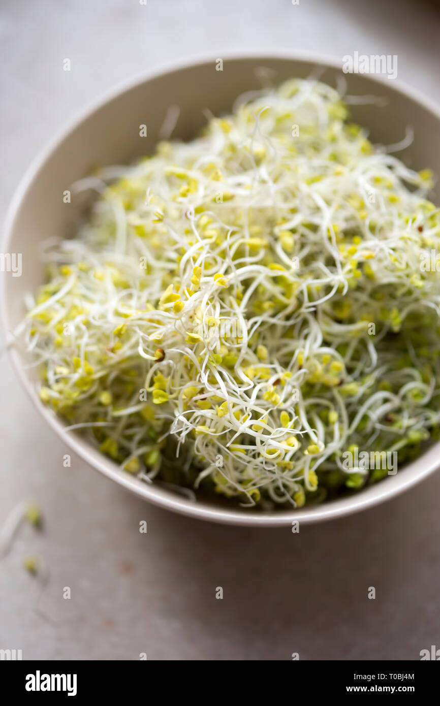 Growing broccoli sprouts hi-res stock photography and images - Alamy