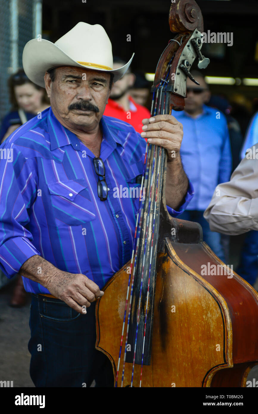 Stand up bass hi-res stock photography and images - Alamy