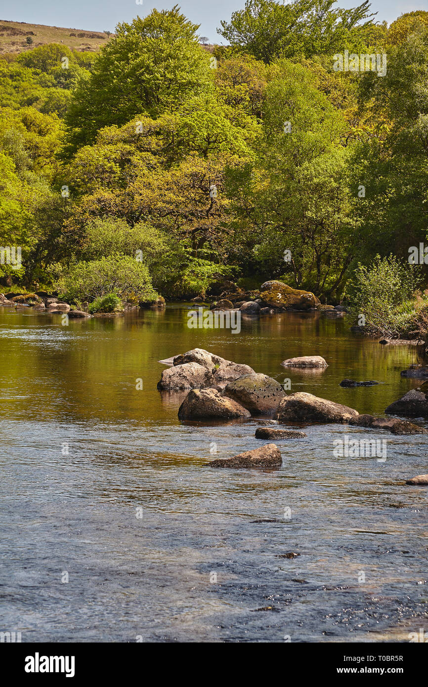 An upland river flowing over and around boulders as it flows downhill ...
