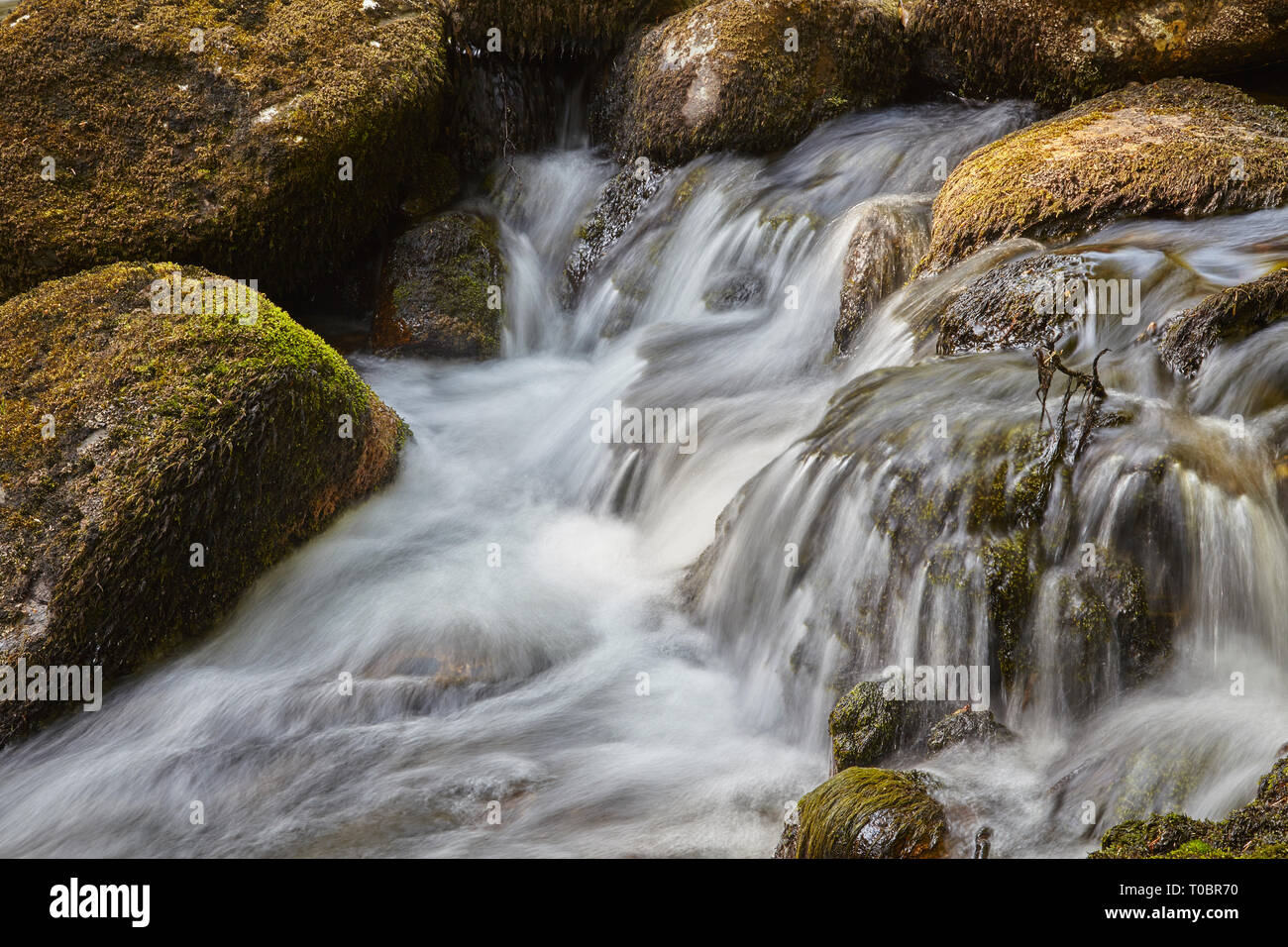 An upland river flowing over and around boulders as it flows downhill ...
