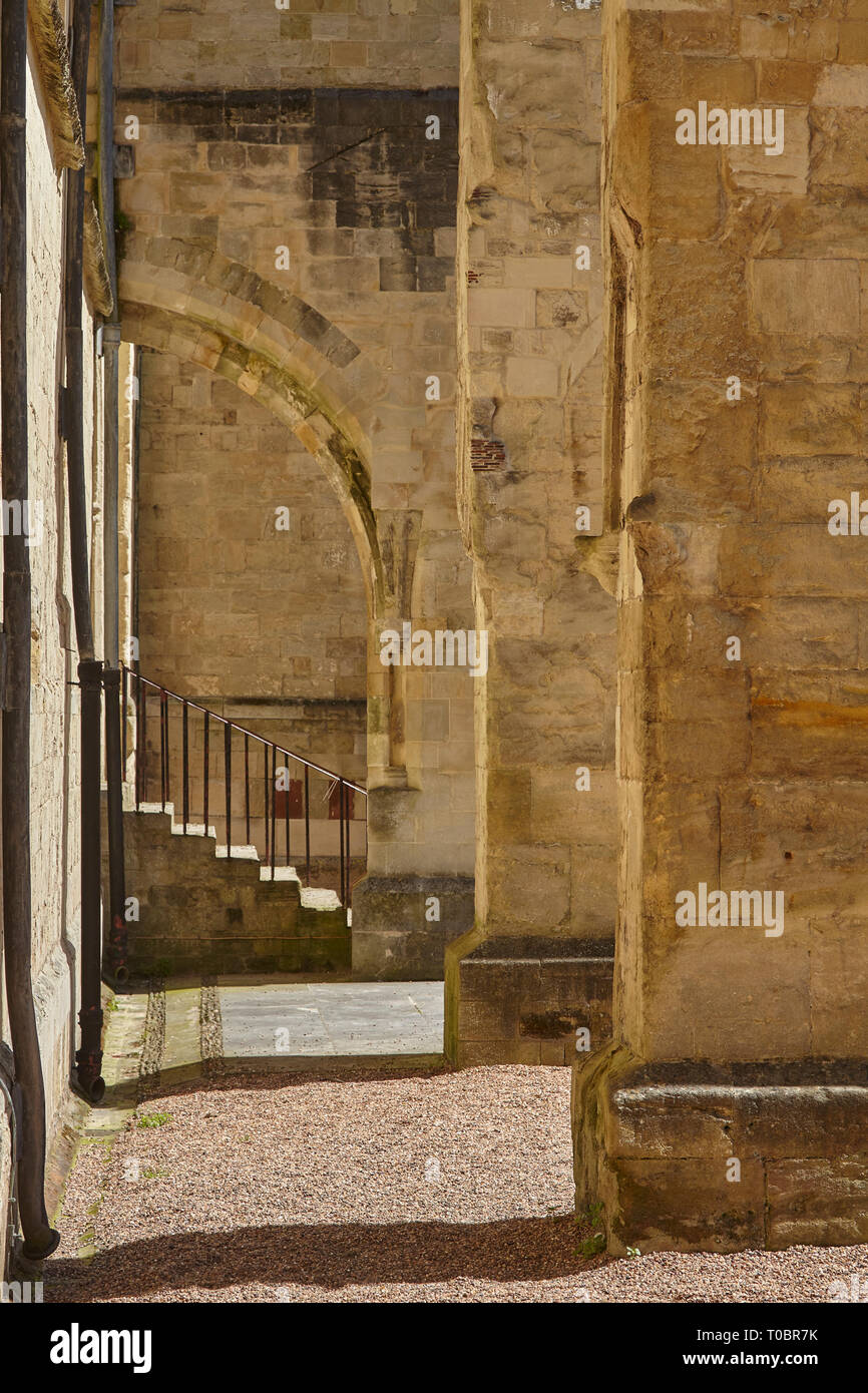 Medieval architecture - buttresses on the south wall of Exeter ...