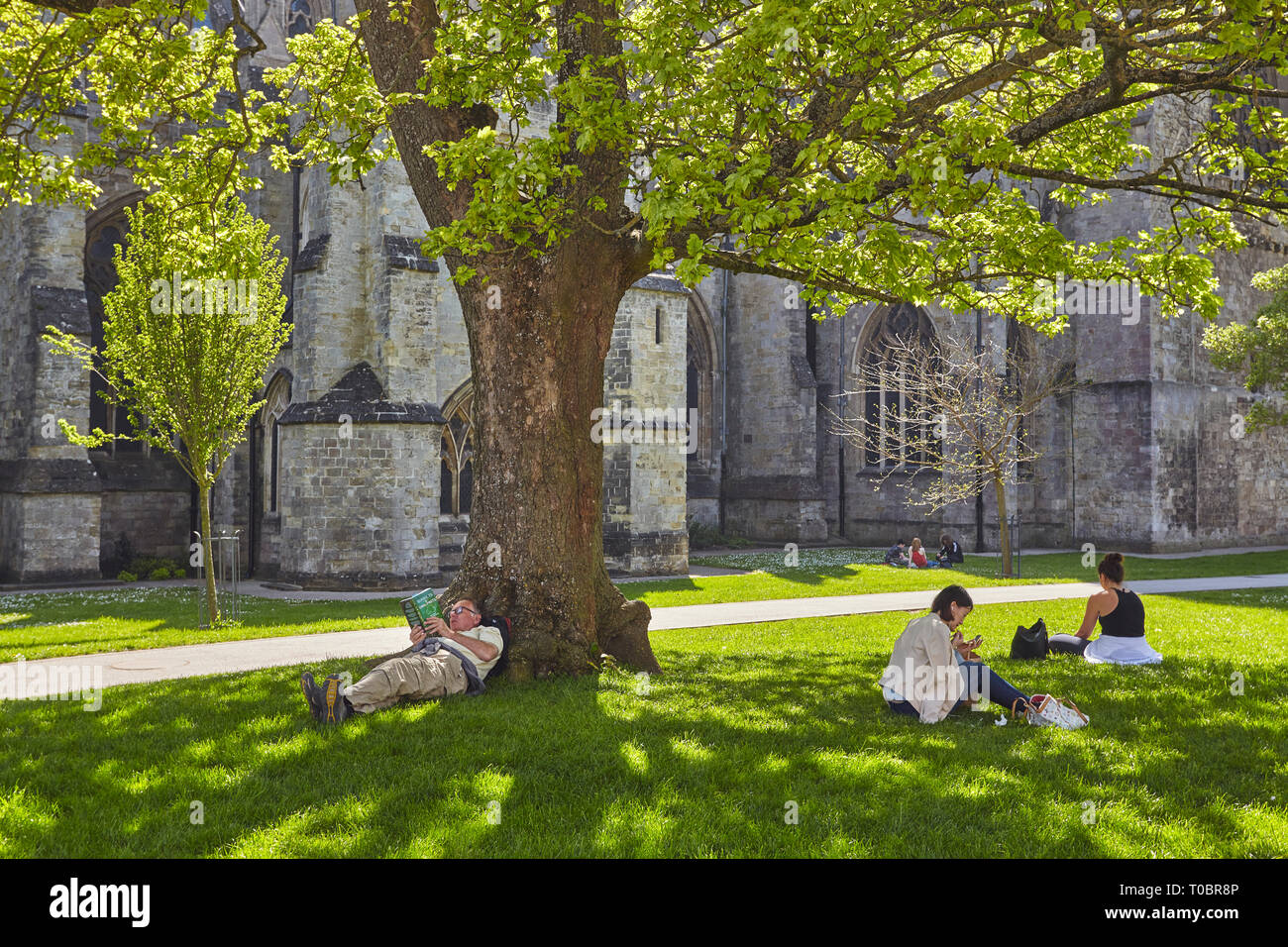 Relaxing in the shade of a tree, beside Exeter Cathedral; Exeter, Devon ...