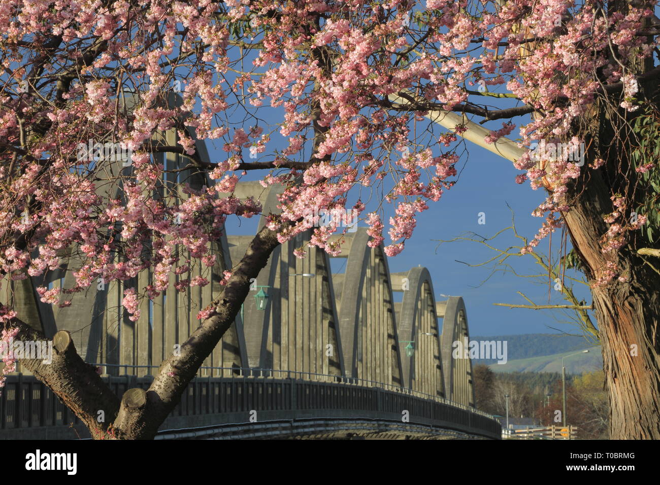 Clutha river new zealand hi-res stock photography and images - Alamy