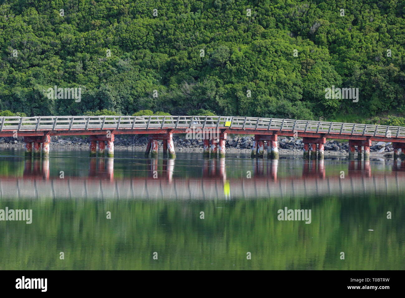 Hinahina Bridge, near Owaka, Catlins, New Zealand Stock Photo - Alamy