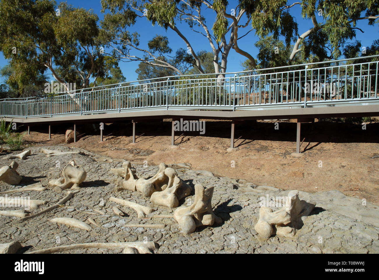 DINOSAUR CANYON, The Australian Age of Dinosaurs Museum of Natural ...