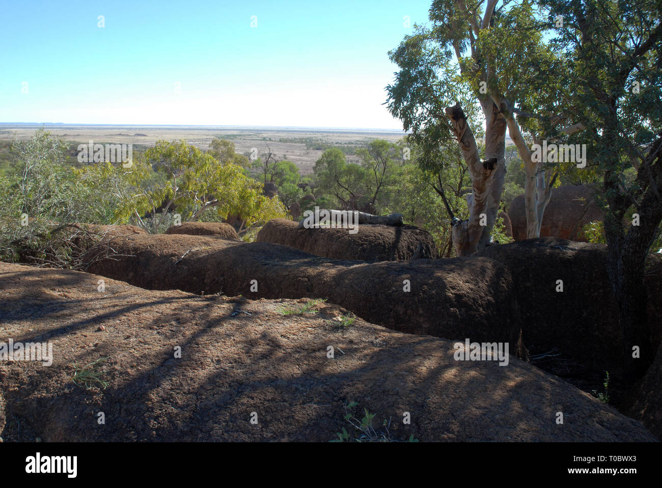 DINOSAUR CANYON, The Australian Age of Dinosaurs Museum of Natural ...