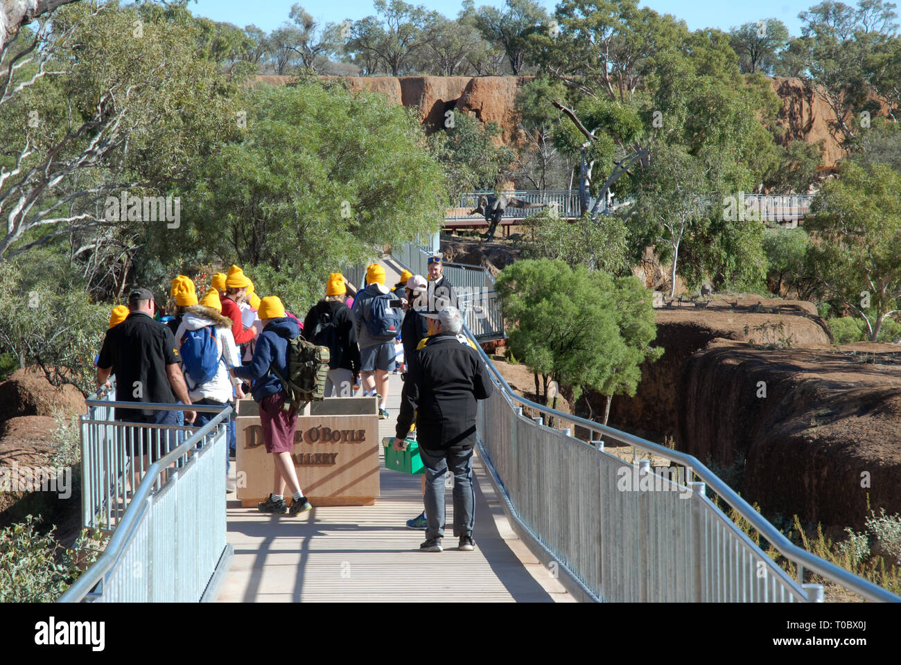 DINOSAUR CANYON, The Australian Age of Dinosaurs Museum of Natural ...