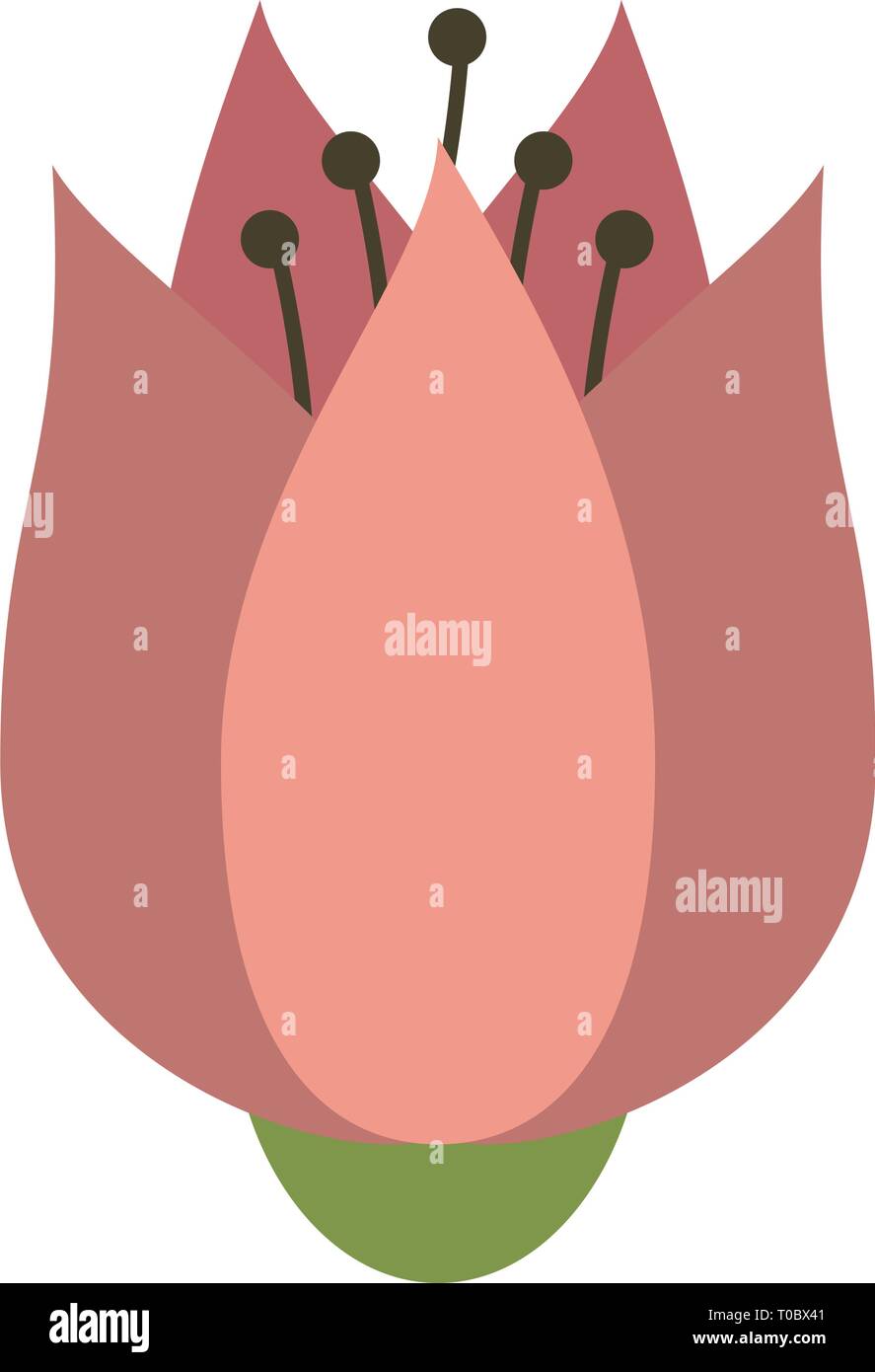 Beautiful flower cartoon isolated Stock Vector Image & Art - Alamy