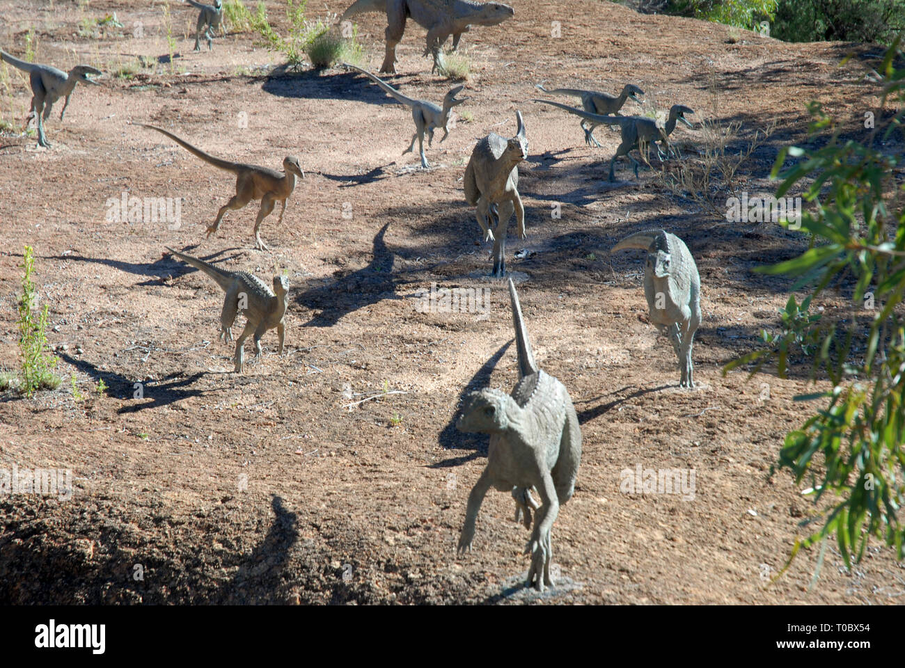 DINOSAUR CANYON, The Australian Age of Dinosaurs Museum of Natural ...