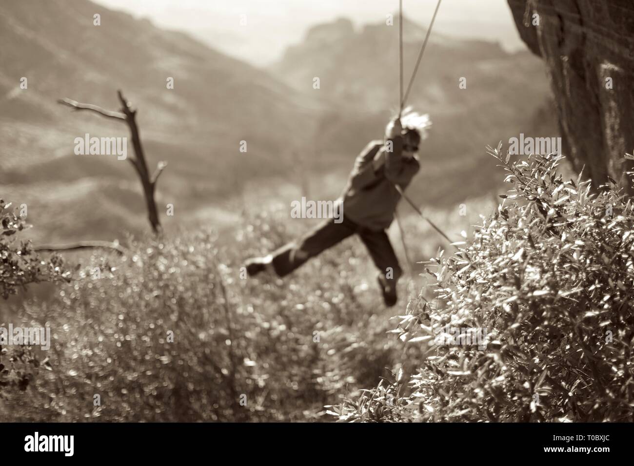 Boy swinging from ropes Stock Photo - Alamy