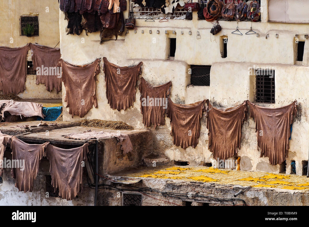 Traditional leather production in old city Fes, Morocco Stock Photo - Alamy