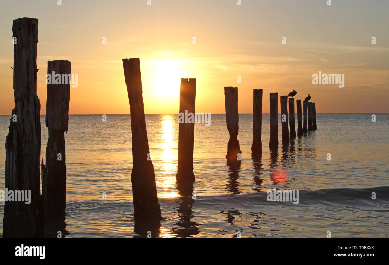 Scenic sunset views of horizon and old posts in the ocean Stock Photo ...