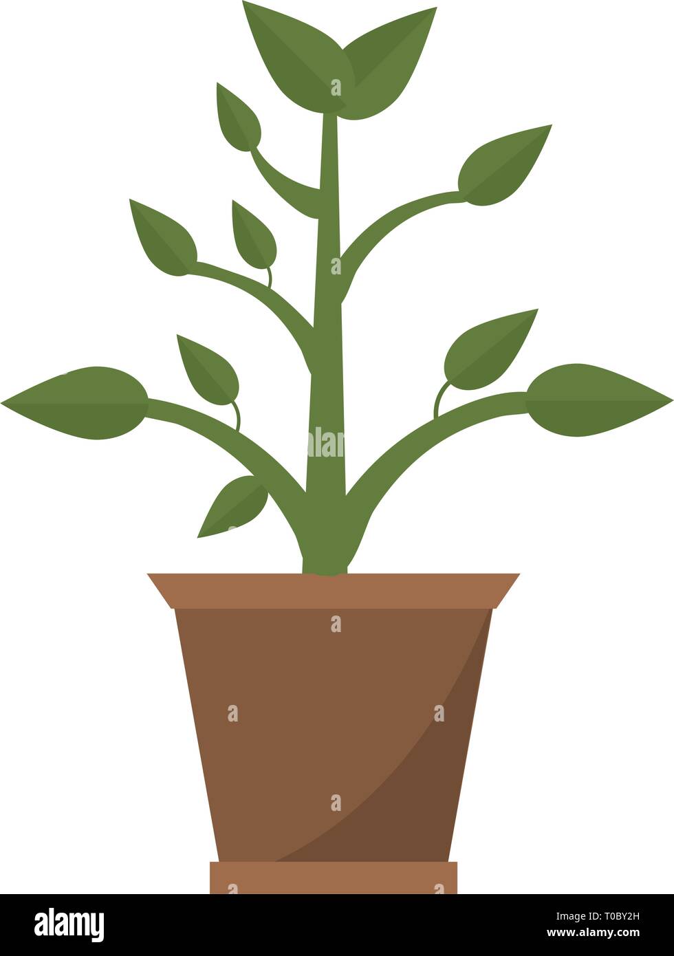 Plant in pot cartoon Stock Vector Image & Art - Alamy
