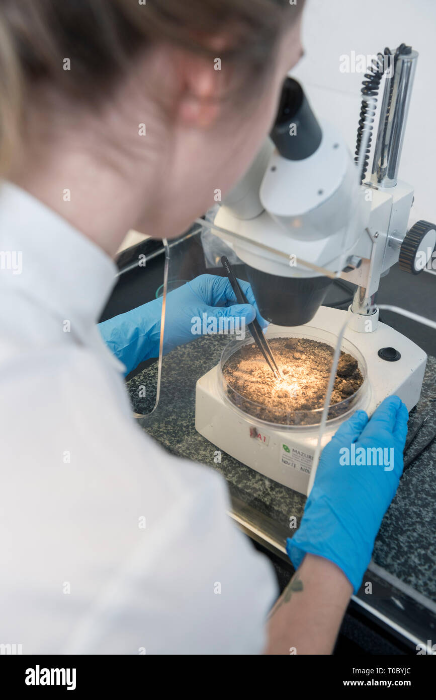 Female lab microscope hi-res stock photography and images - Alamy