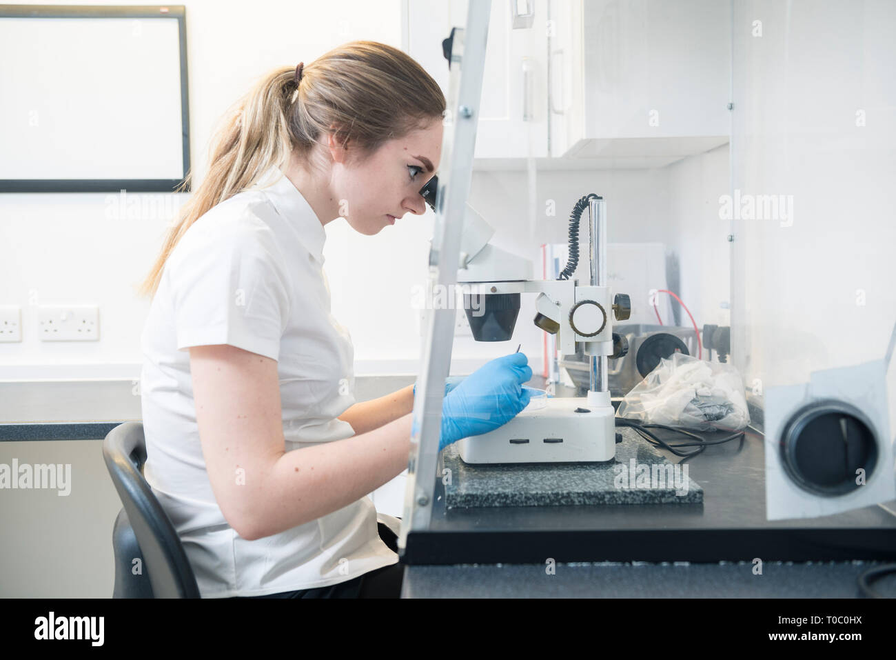 A female professional laboratory worker uses a microscope to examine a ...