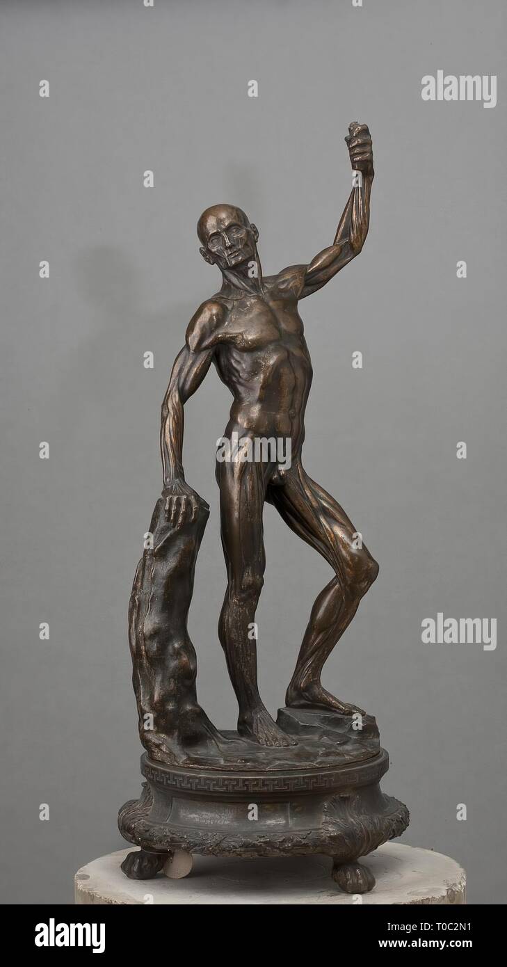 écorché anatomical figure hi-res stock photography and images - Alamy