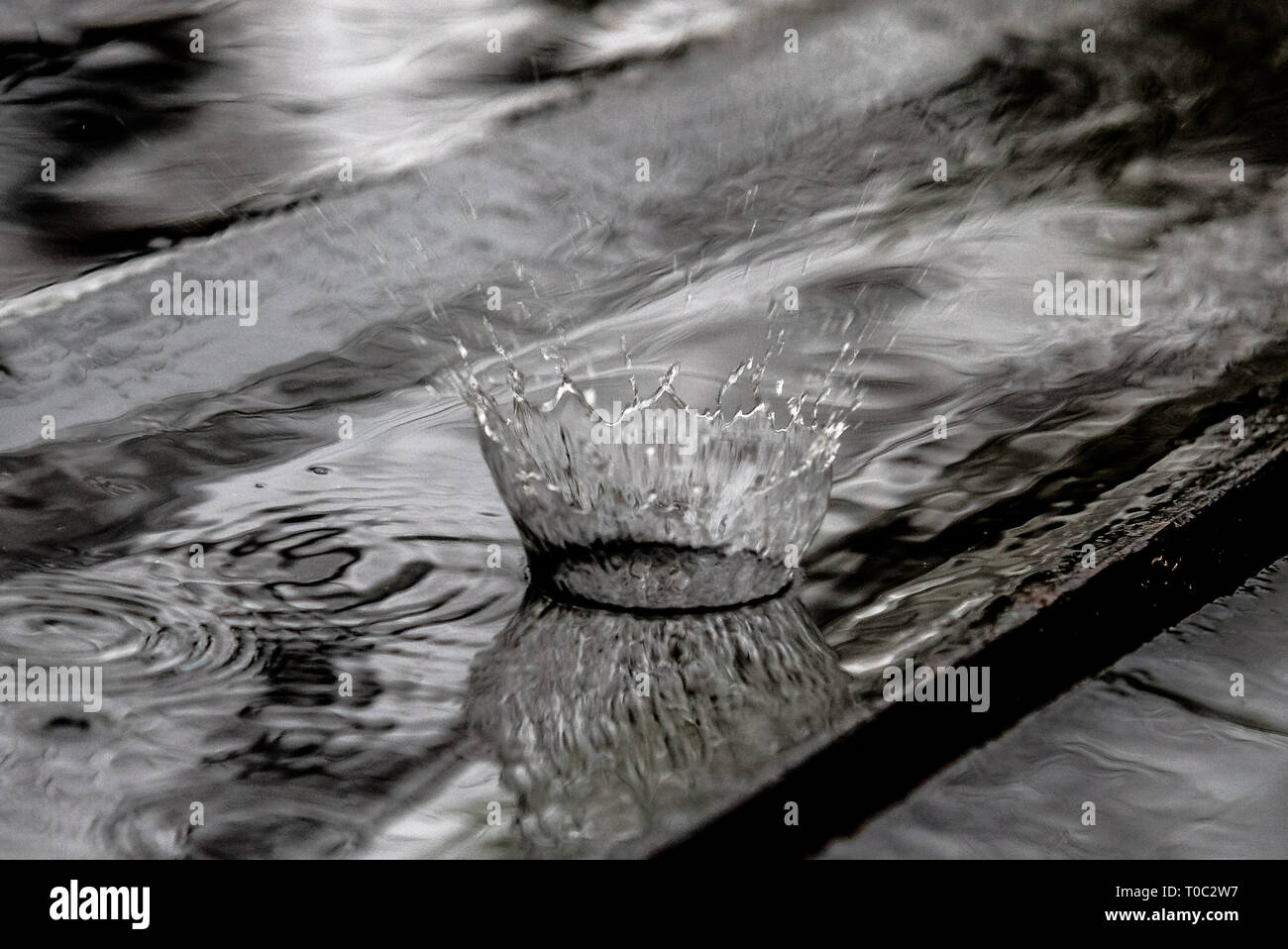 Rain drop splash in wooden floor bouncing and shaping water crown Stock ...