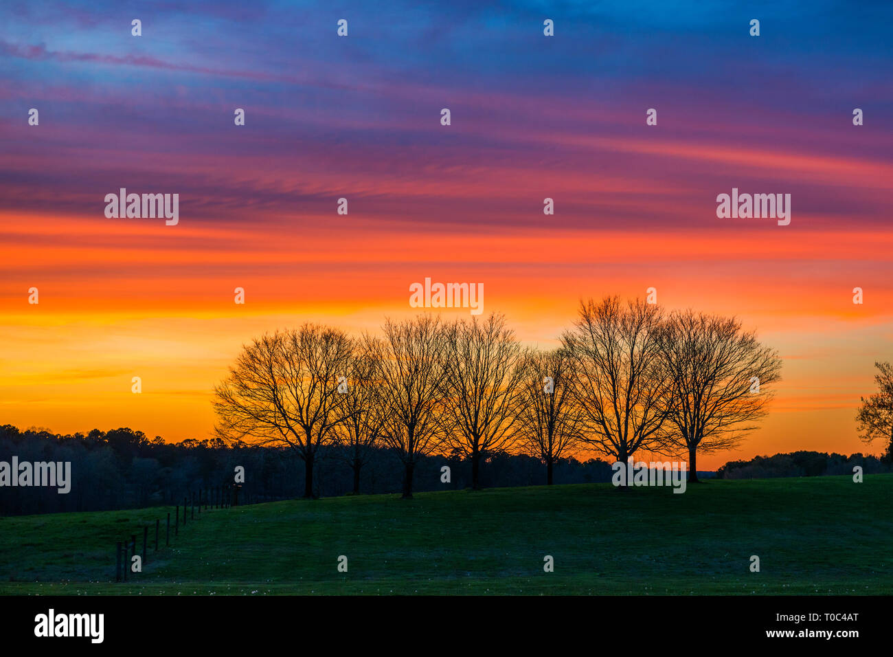 early spring sunset Stock Photo - Alamy