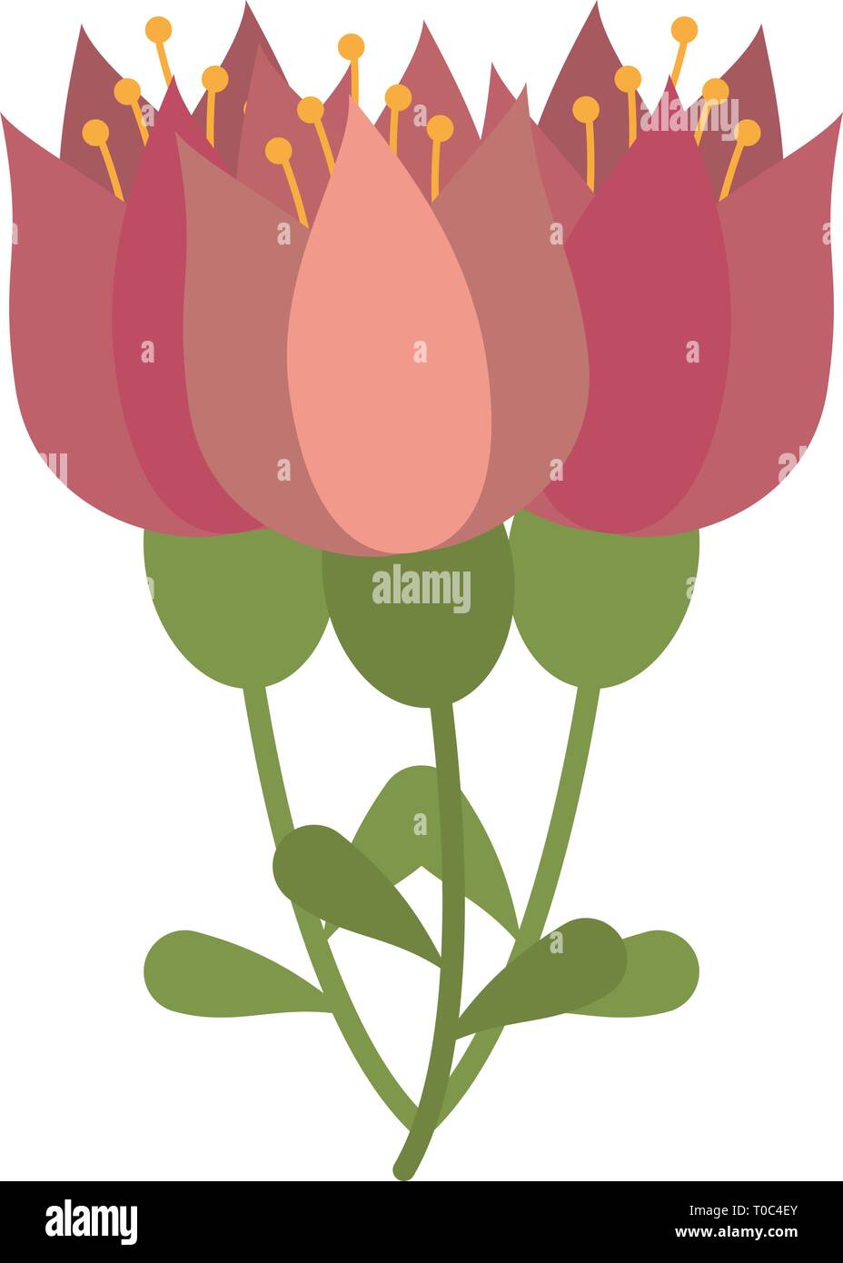 Beautiful flowers cartoon isolated Stock Vector Image & Art - Alamy