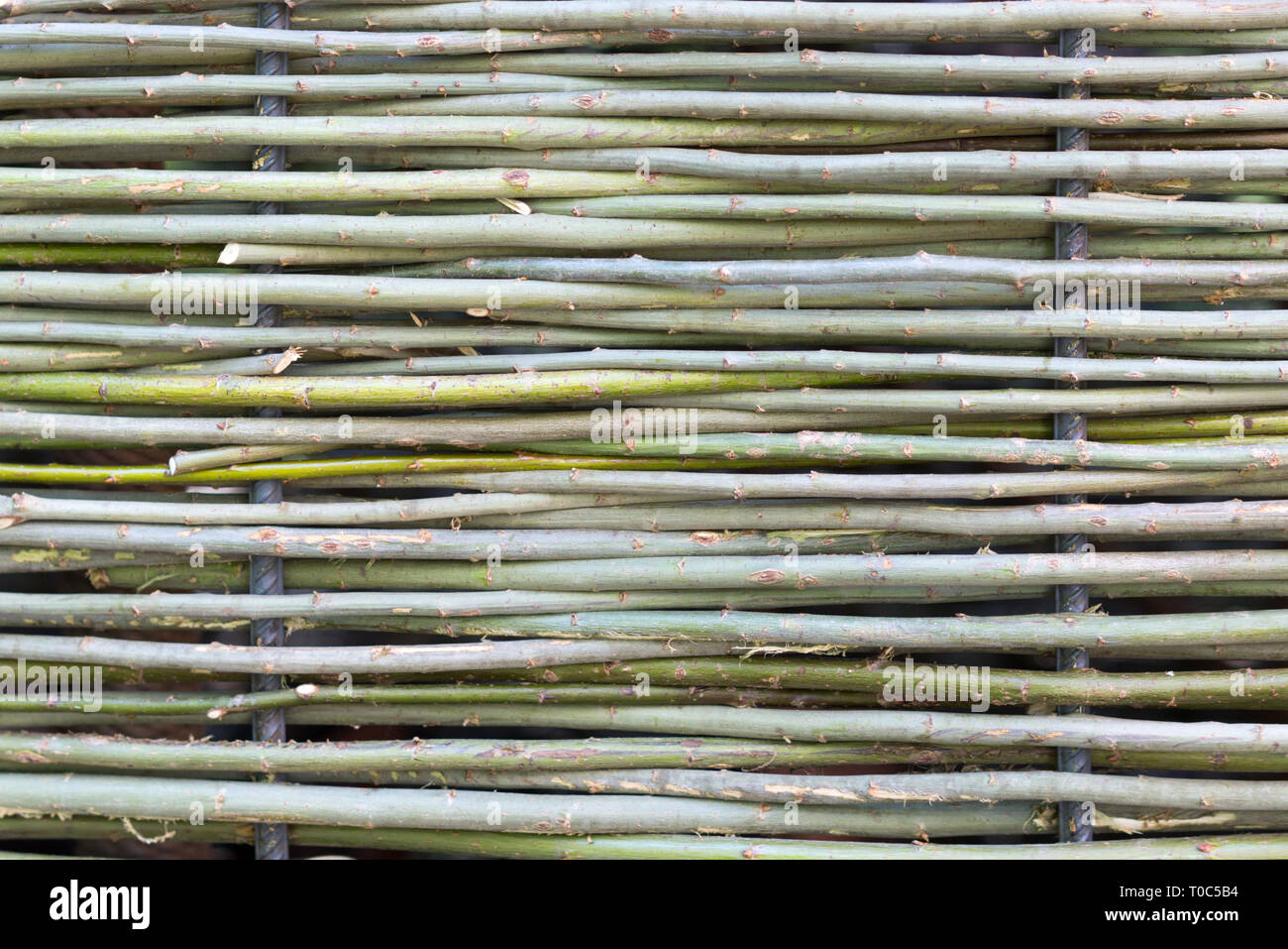 wall of willow twigs as background. Rural old fence, made from willow ...