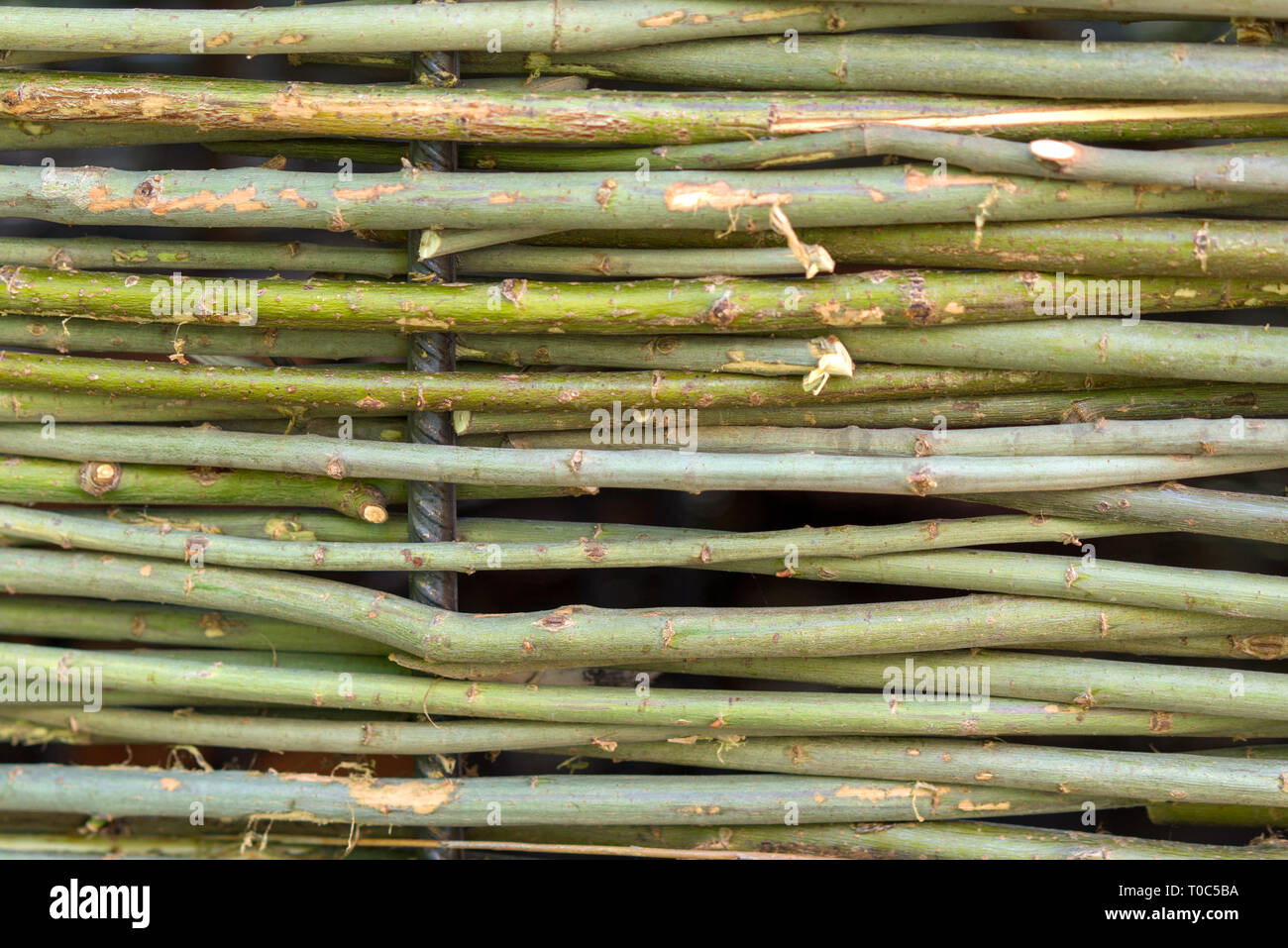 wall of willow twigs as background. Rural old fence, made from willow ...