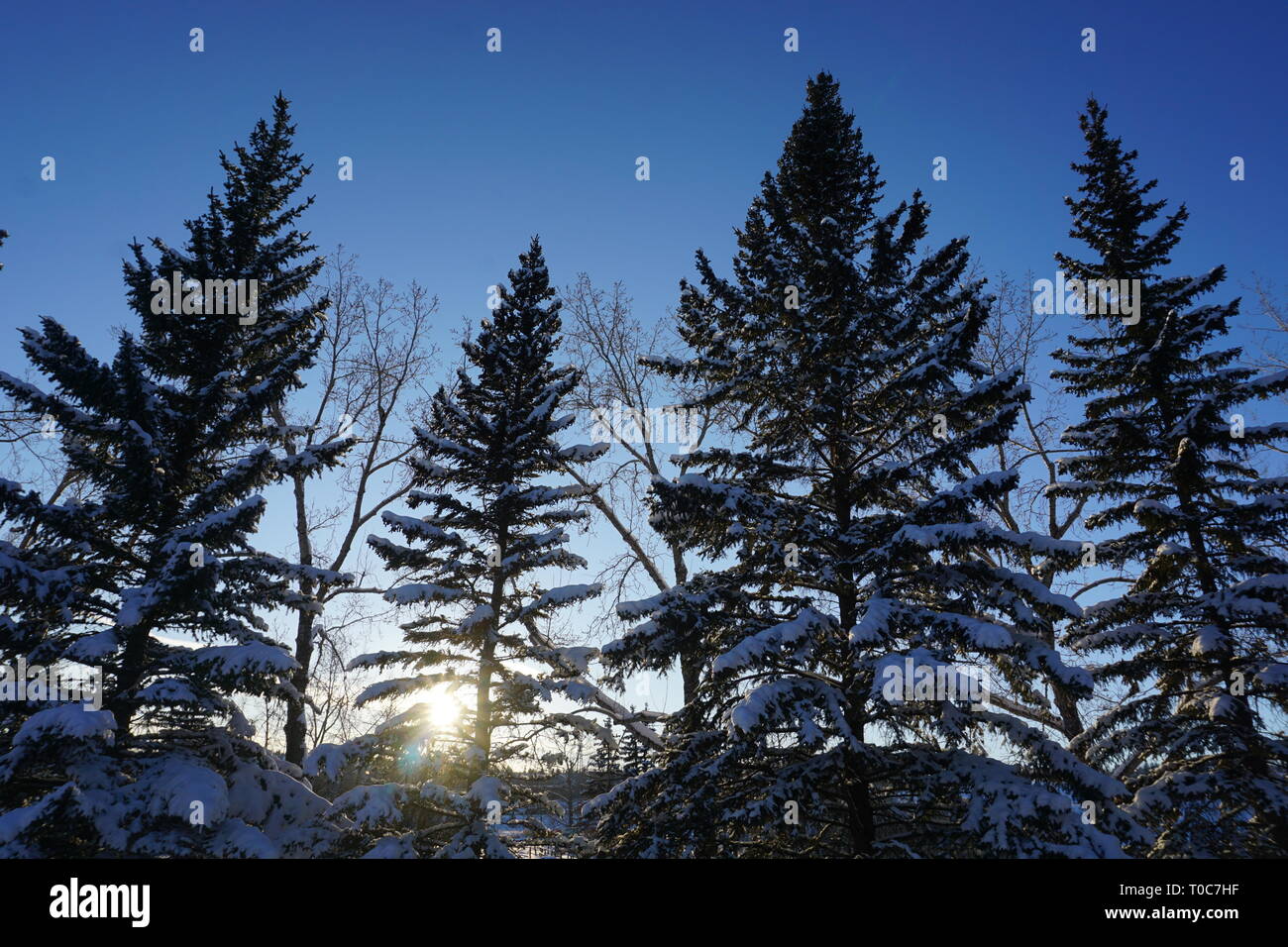 Calgary parks hi-res stock photography and images - Alamy