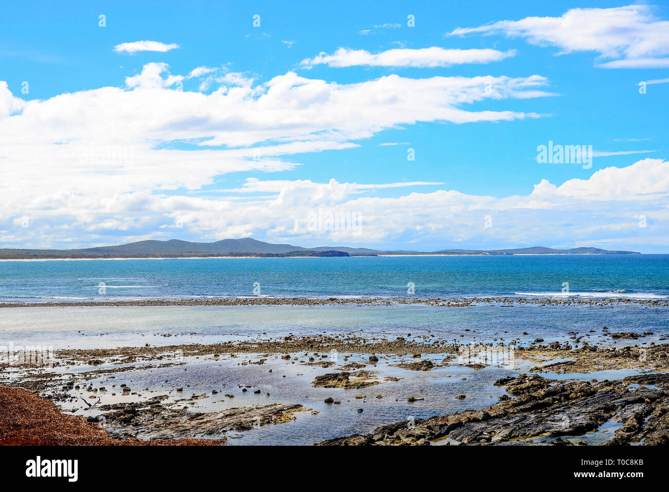 Brooms head hi-res stock photography and images - Alamy