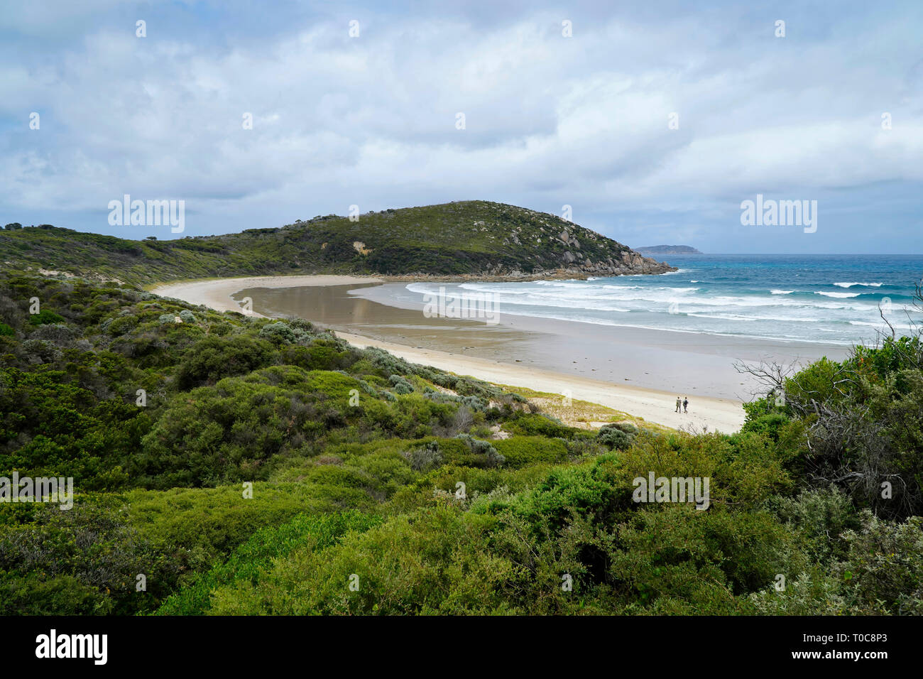 Wilsons Prom National Park in Victoria Australia view of Picnic Bay ...
