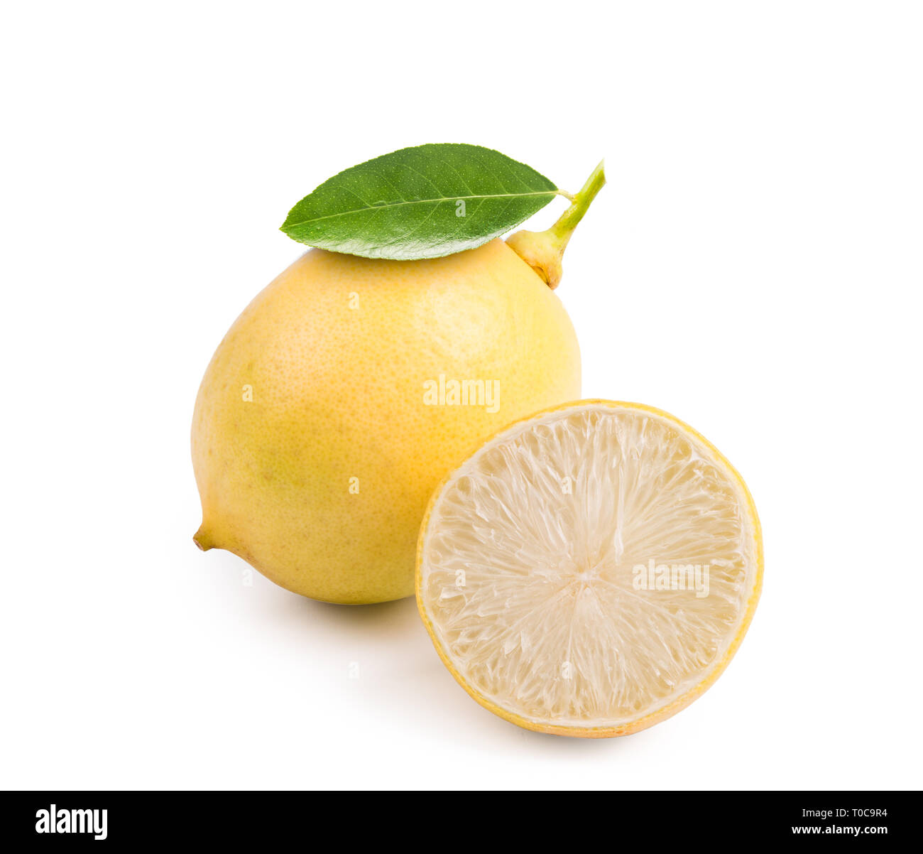 fully ripped yellow lemon with half cut on a isolated white background ...