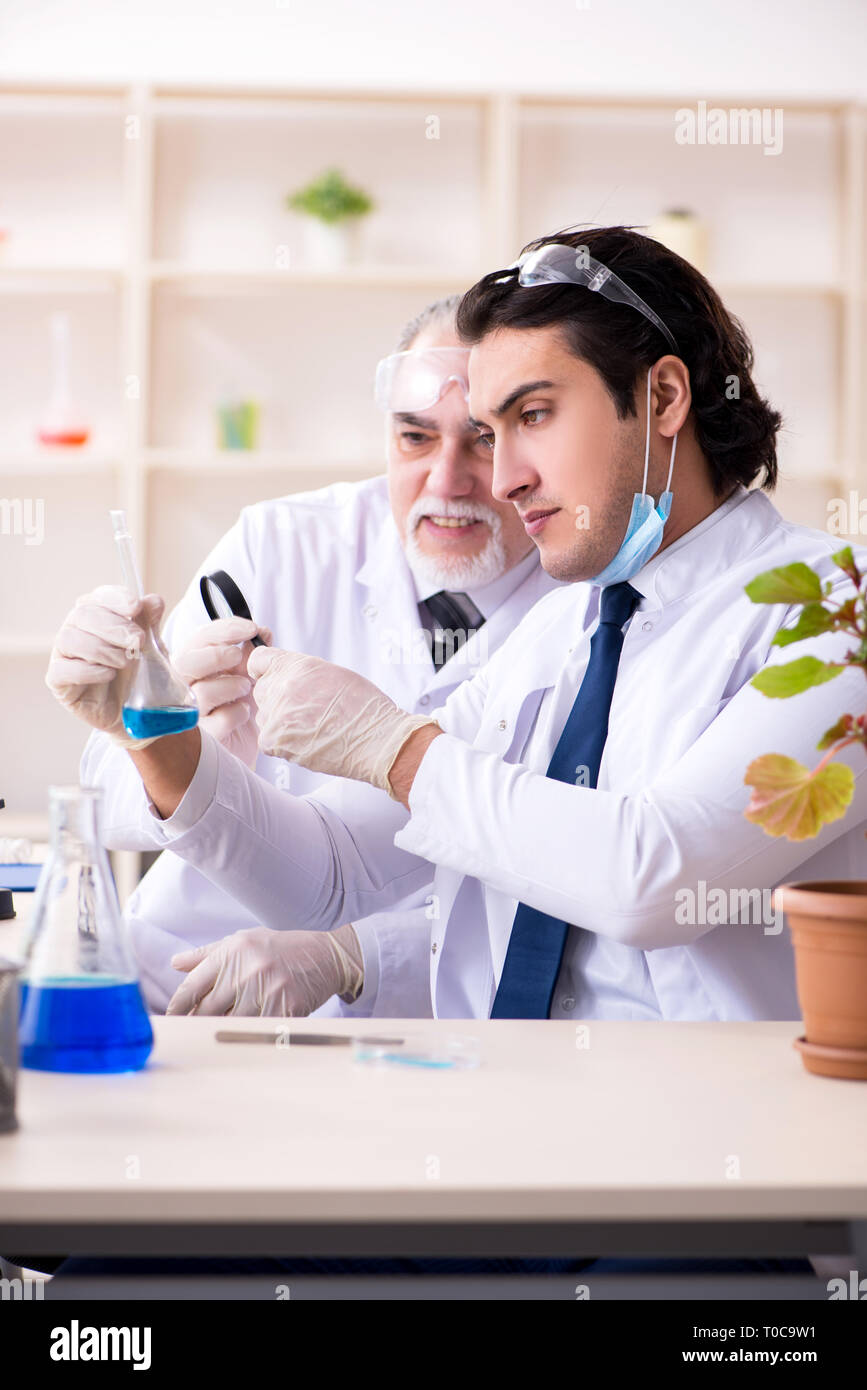 Two chemists working in the lab Stock Photo - Alamy