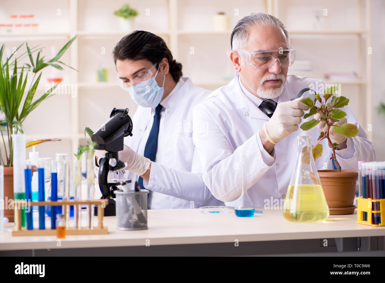 Two chemists working in the lab Stock Photo - Alamy